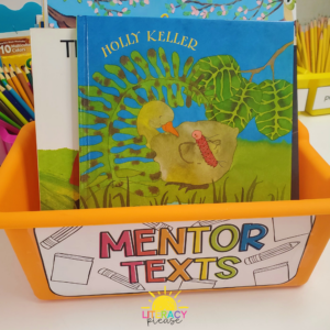 Classroom Organization for a Successful Writing Workshop - Literacy Please